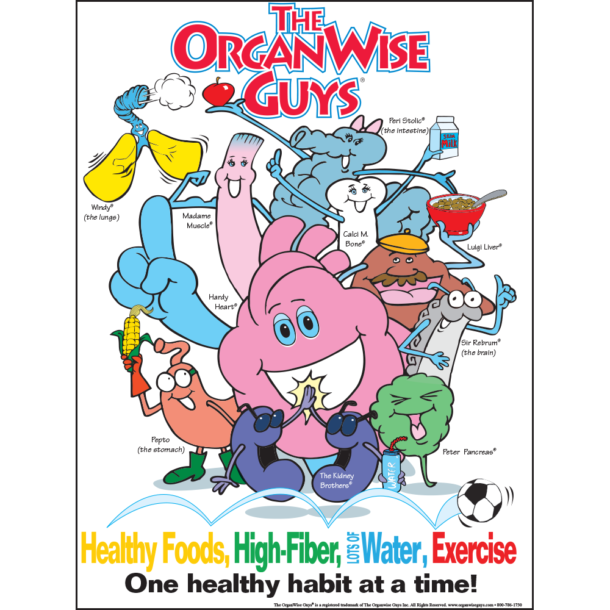 Healthy Habits Poster - The OrganWise Guys